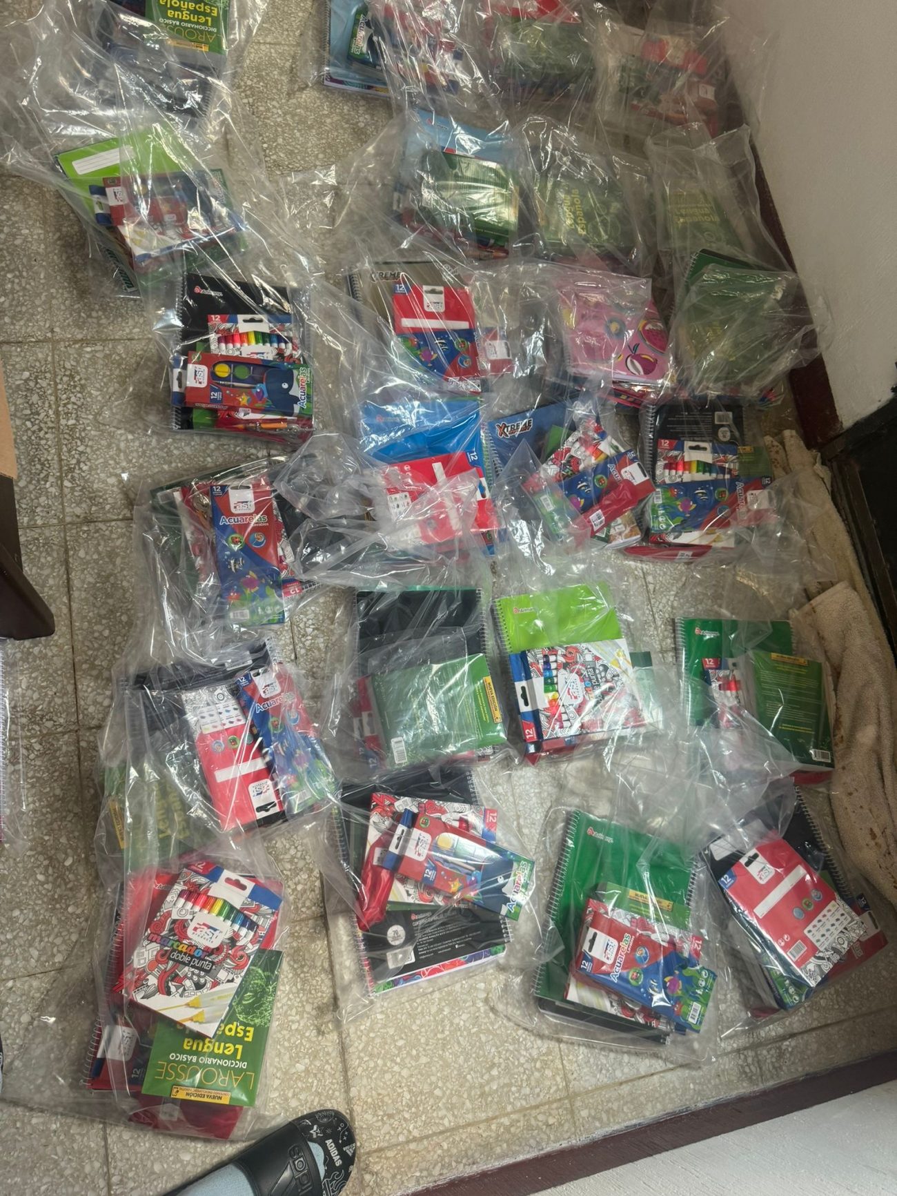 “Quetzi El Quetzal” la campaña creada por dos jóvenes latinas locales ...